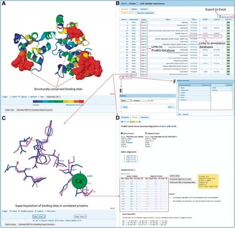 Probis Output Page For Query Protein Pdb Chain Id 2q4u A Of Unknown
