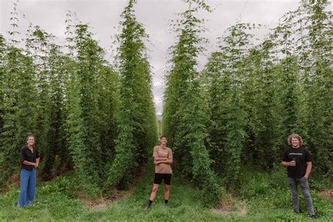 Ryefield Hops The Crafty Pint