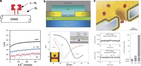 Lipid Nanostructure Hybrid Based Electrical Biosensors A Top