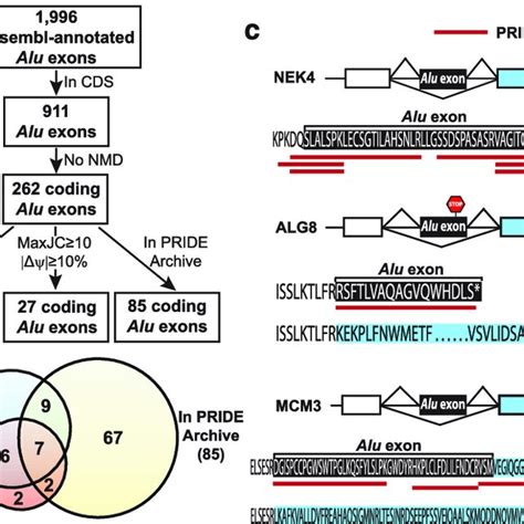 Putative Coding Alu Exons With Significant Splicing Activities And Download Table