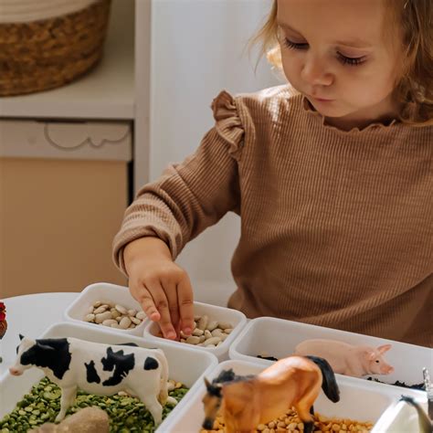 De Ontwikkelingsfases Van Je Kind Welke Zijn Er