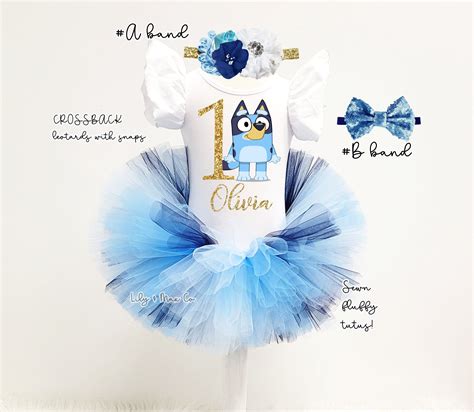 Bluey Birthday Outfit Bluey 1st Birthday Girls Outfit 1st Birthday