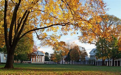 Charlottesville Va Community Guide Explore Local Life