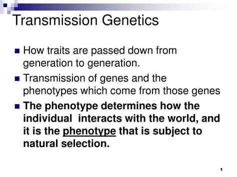 PPT Transmission Genetics PowerPoint Presentation Free Download ID 4145219