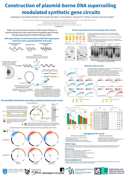 Pdf Construction Of Plasmid Borne Dna Supercoiling Modulated Synthetic Gene Circuits