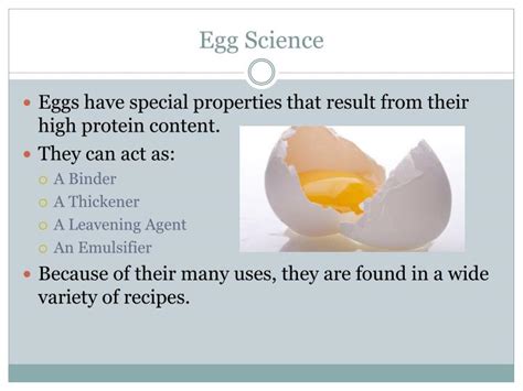 Egg Definition Physical Science At Leon Donovan Blog