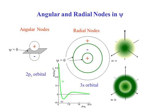 Radial Nodes And Planar Nodes Mcq Practice Questions And Answers
