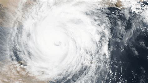 What Is A Transportation Management System Tms Project44