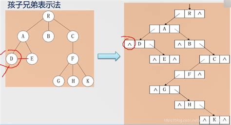 数据结构与算法【6】树和森林（c实现）c 二叉树转化为森林 Csdn博客