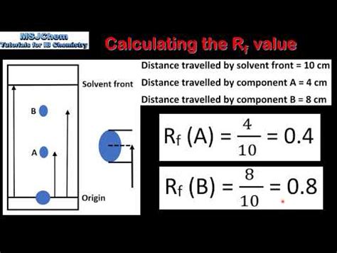 What Does An Rf Value Tell You