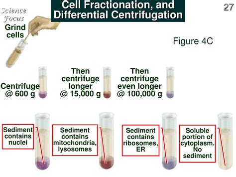 Ppt Outline Powerpoint Presentation Free Download Id485105