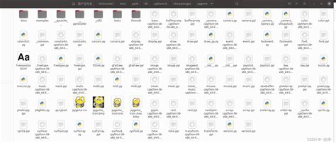 miniconda环境下安装pygame pygame国内镜像 csdn博客