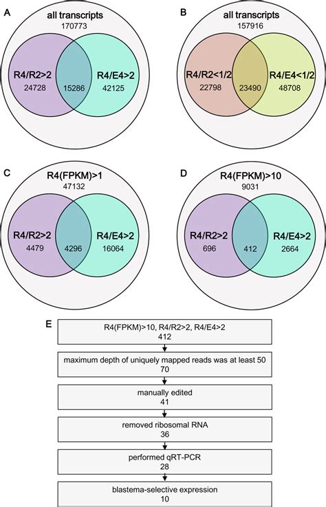 RNA Sequencing Analysis Of Genes Preferentially Expressed In Download Scientific Diagram