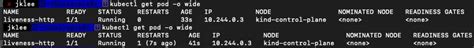 Kubernetes Probe And Argocd