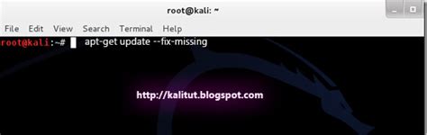 how to update kali linux and fix errors when updating