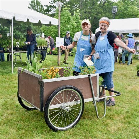 Native Plant Sale Grow Native Massachusetts