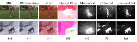 Figure A1 Demonstration Of The Low Level Saliency Computation
