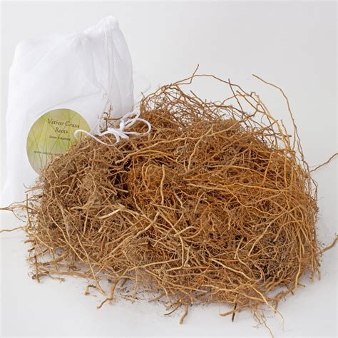 Vetiver Grass