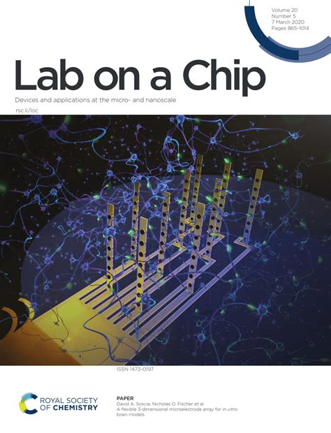 Pdf A Flexible 3 Dimensional Microelectrode Array For In Vitro Brain Models