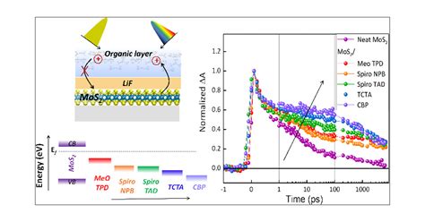 Influence Of The Energy Level Alignment On Charge Transfer And Recombination At The Monolayer