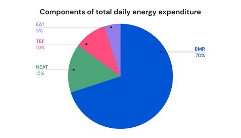 tdee calculator free accurate tdee and bmr calculator