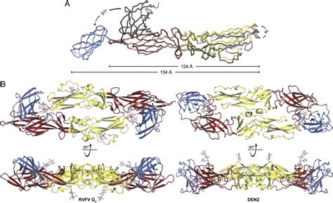 Crystal Structure Of Glycoprotein C From Rift Valley Fever Virus Pmc