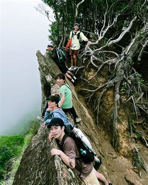 Sonic Frog Motorcyclic