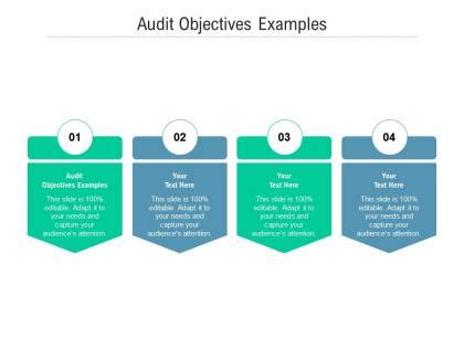 Audit Executive Summary Slide Team