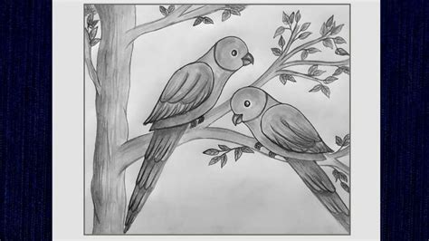 How To Draw A Parrot Bird Couple On A Tree Branch Drawing Step By Step Bird Drawing Easy