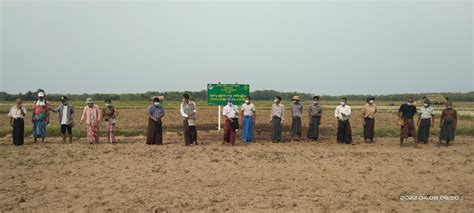 မိုးကြိုကာလ မြေဆီလွှာဖွံ့ဖြိုးတိုးတက်ရေးအတွက် သစ်စိမ်းမြေဩဇာပိုက်ဆံလ