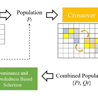 Flow Chart Of The Improved NSGA II Algorithm Download Scientific Diagram