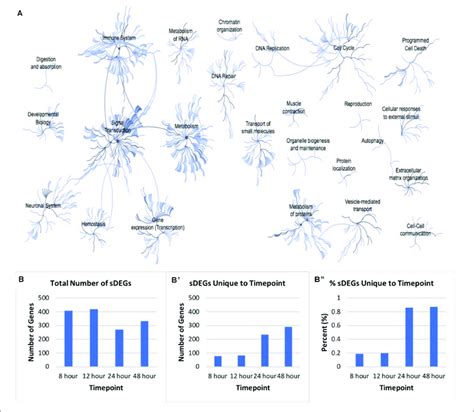 Pathway Analysis Of Differentially Expressed Genes A Reactome Map