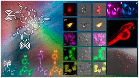 Journal Of The American Chemical Society Vol 142 No 22 Acs Publications