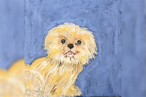 Angel Machiri Wingspan