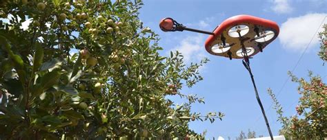 Robots May Soon Have A Place In Fruit Orchards