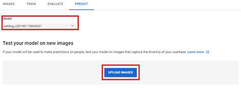 Automl을 사용한 객체인식 모델 만들기 Bespin Global