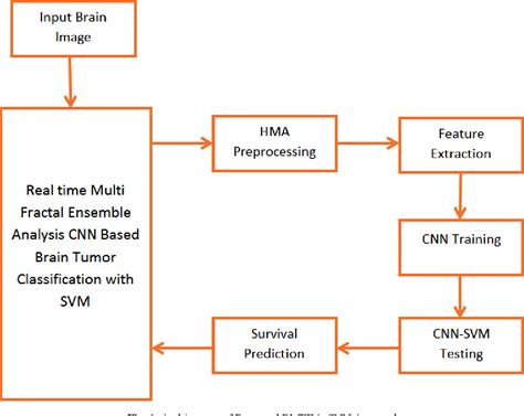 figure 1 from real time multi fractal ensemble analysis cnn model for