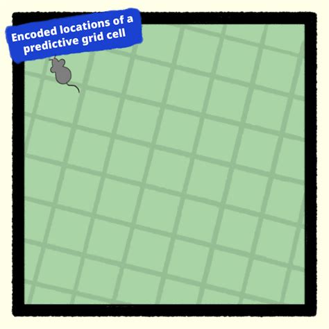 Predictive Grid Cells Help Self Navigation In The Brain It Aint Magic