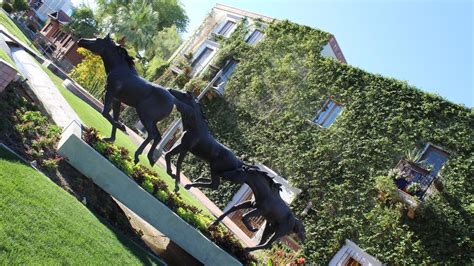 Andre Portillo On Linkedin Expanding In Scottsdale