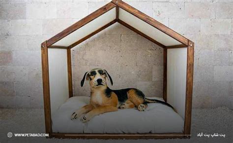 راهنمای خرید خانه سگ پت شاپ آنلاین پت آباد