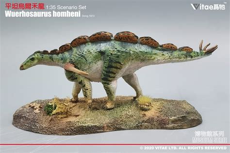 Wuerhosaurus