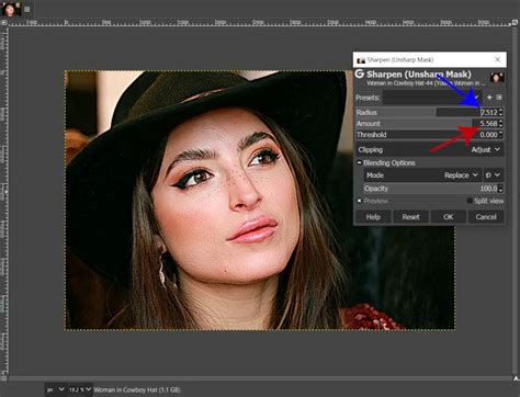 Gimps Sharpen Unsharp Mask Filter For Sharpening Photos Davies