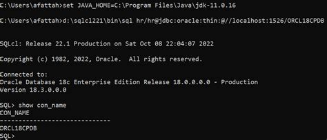 Sqlcl Java Errors Under Different Database Homes Ahmed Abdelfattah Blog