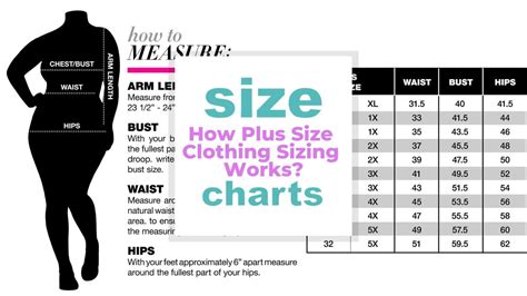 How Plus Size Clothing Sizing Works Size When Size Matters