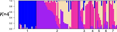 population structure based on an admixture analysis at k 4