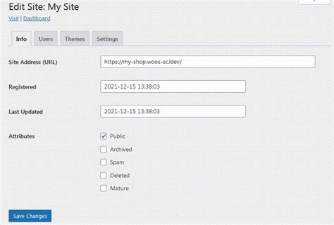 How To Run Woocommerce On Multisite With Different Domains