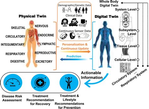 Building Digital Twins For Cardiovascular Health From Principles To Clinical Impact Pmc