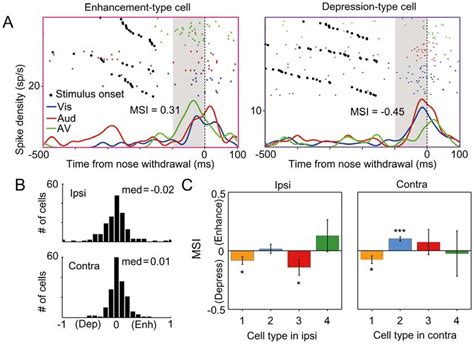 Enhancement And Depression In Premovement Activity By Multisensory