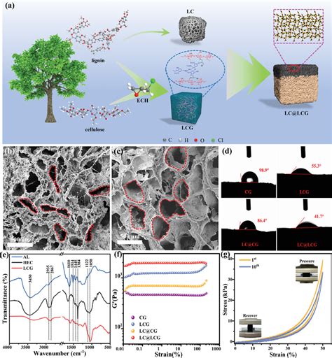 A Synthesis Schematic Of Lignocellulosic Biomass‐based Double‐layered Download Scientific