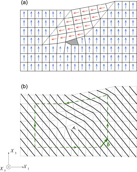 Schematic Cross Sections Of An Isolated A Domain In A Continuous